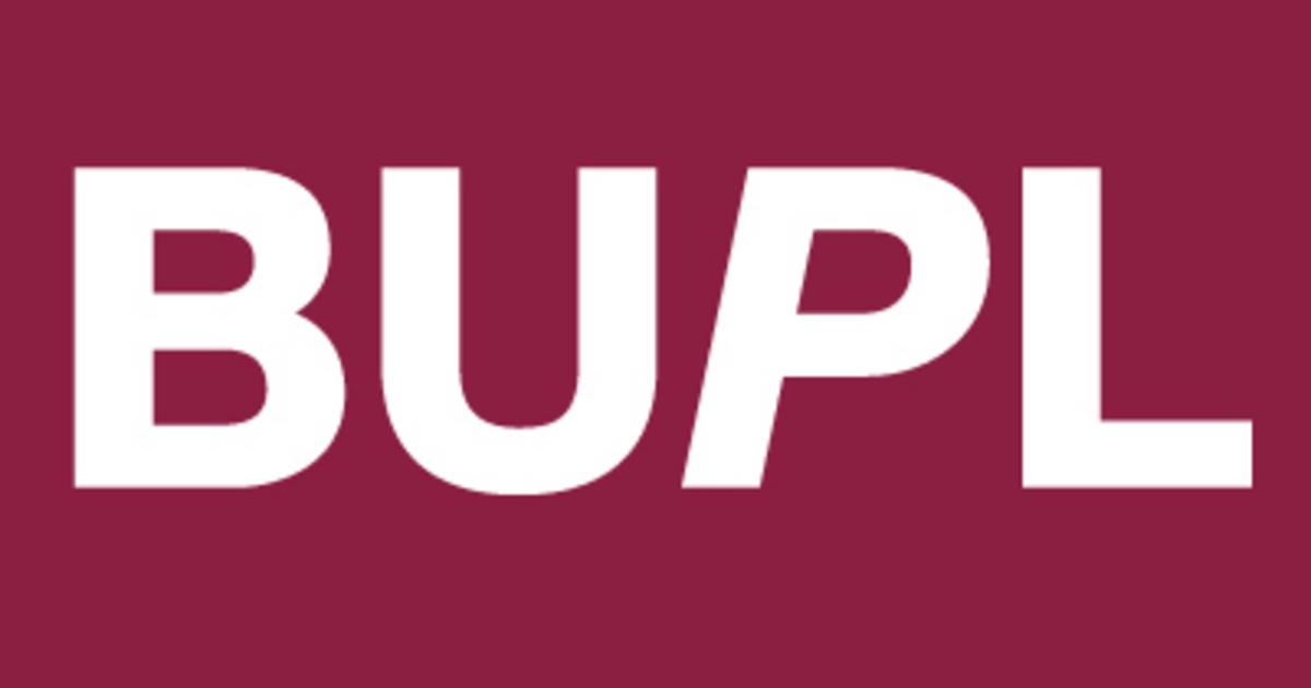 Formål og opgaver | BUPL