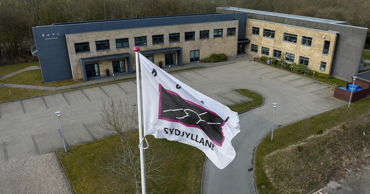 Formål og opgaver | BUPL